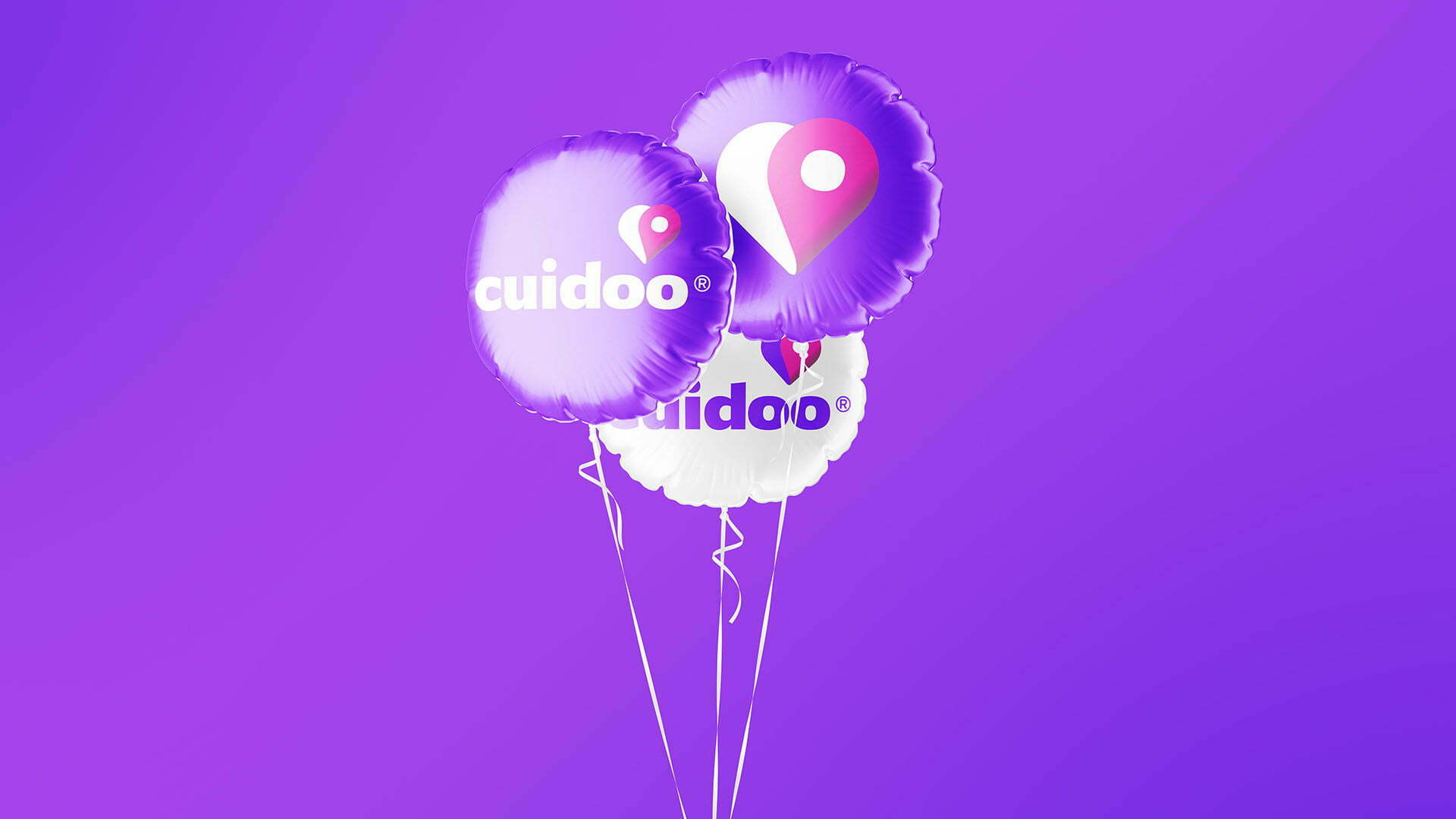 Naming, identidade visual e site da Cuidoo - Thapcom